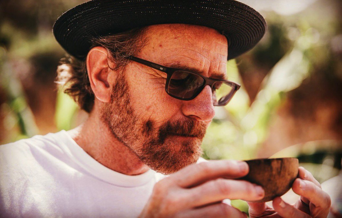 Bryan Cranston - Steckbrief, News, Bilder | GALA.de