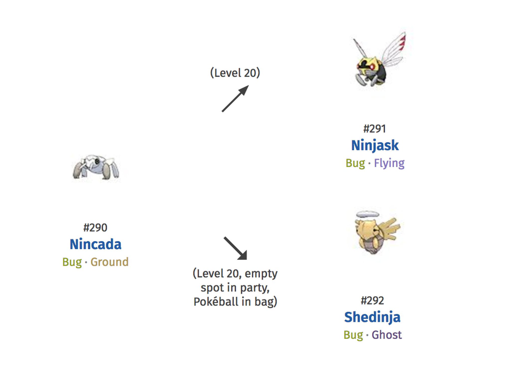 Nincada Evolve