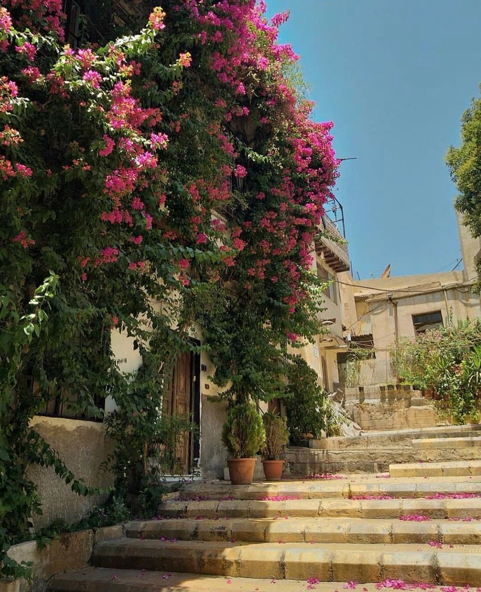 Flower house in Damascus. : r/Syria
