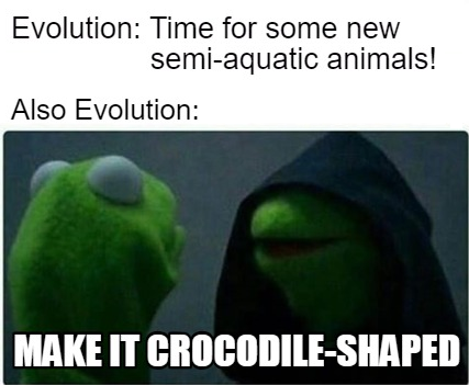 Memes For Evolution