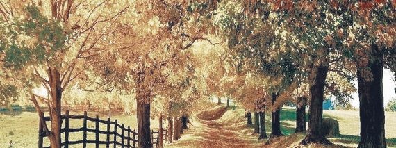 Country Facebook Covers Tumblr