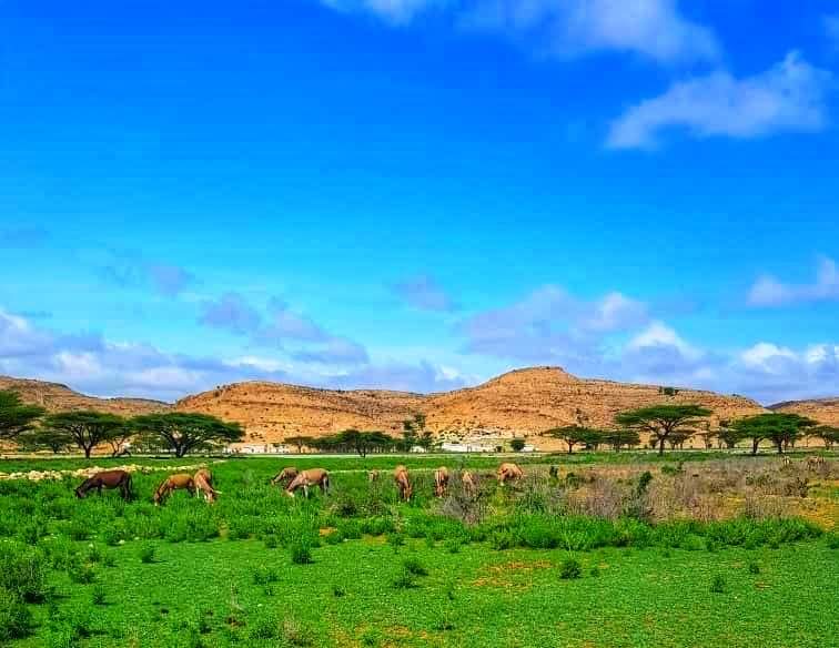 Tropical storm viewable off the coast of Qandala | Somali Spot | Forum ...