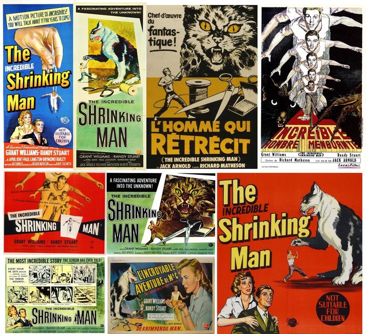 Incredible Shrinking Man Poster