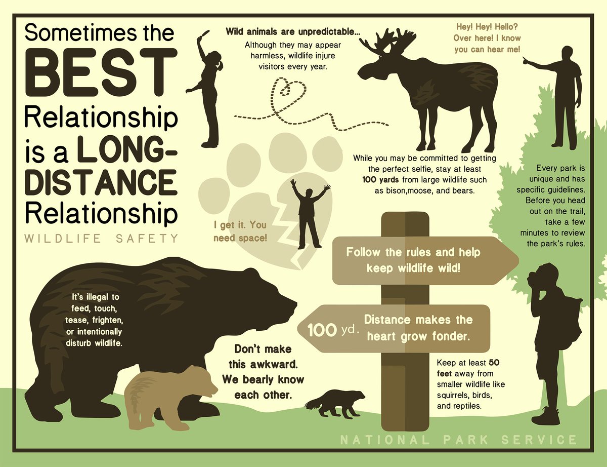 Disturbing Wildlife | Outdoor Board