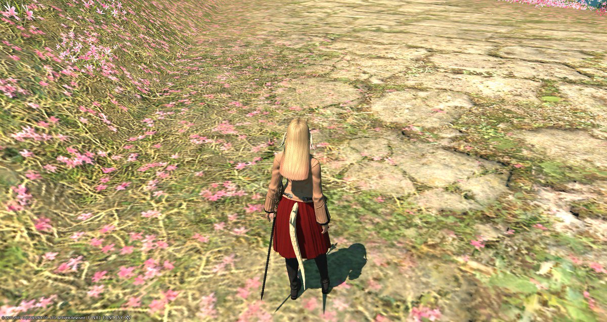 Saki Kisaragi 日記「漆黒のDirectX11エラーの私なりの対応方法」 | FINAL FANTASY XIV, The ...