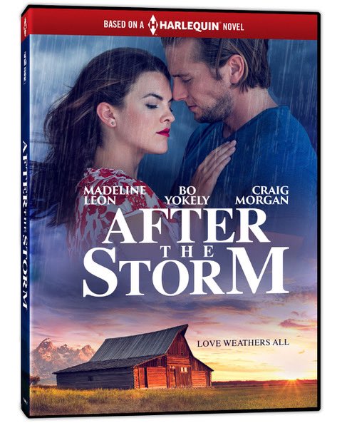 After The Storm Movie