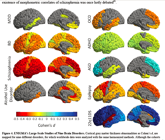 Hippocampus And Bipolar Disorder