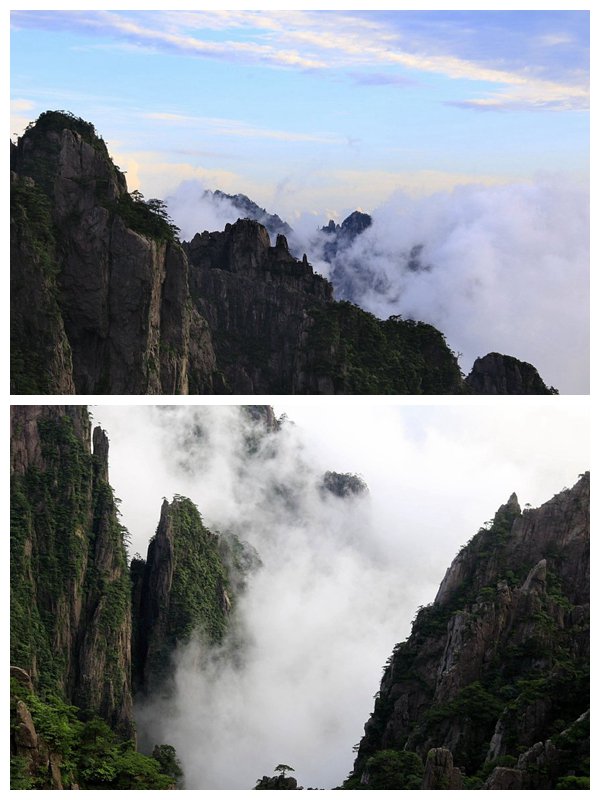 Nimkit Lepcha (@nimkit_lepcha) | Twitter