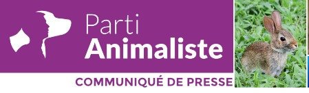 Martine Moreau (@martinemoreau31) | Twitter