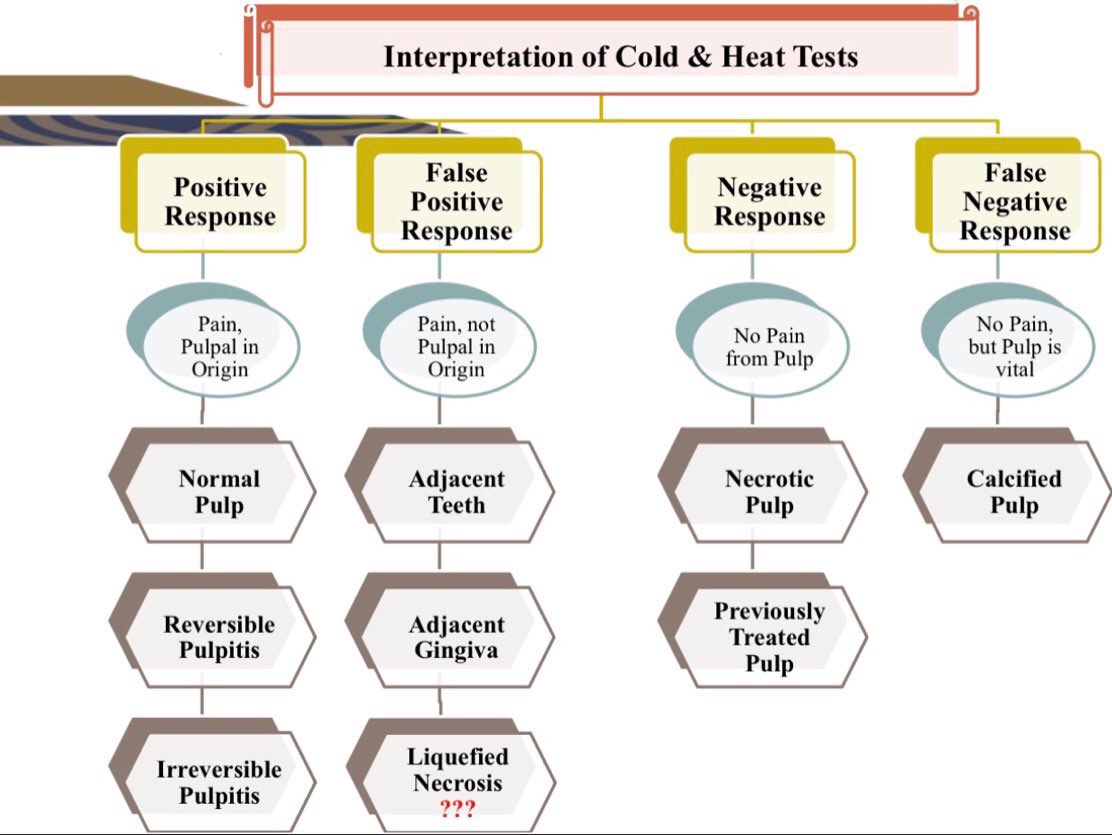 Hi everyone 👋🏻 in this thread we are going to talk about endodontic ...