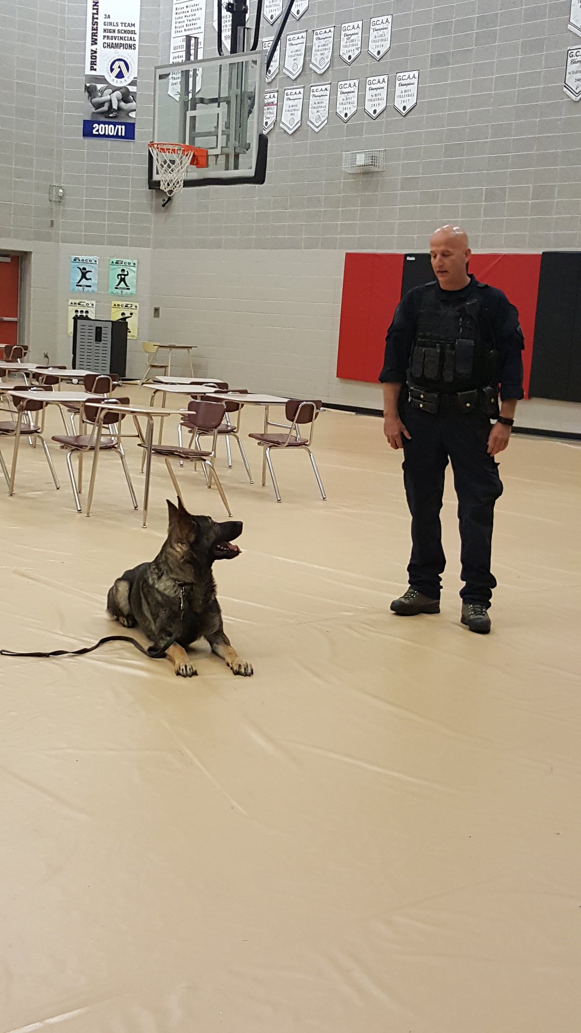 How Old Is Hulk The Dog 2019