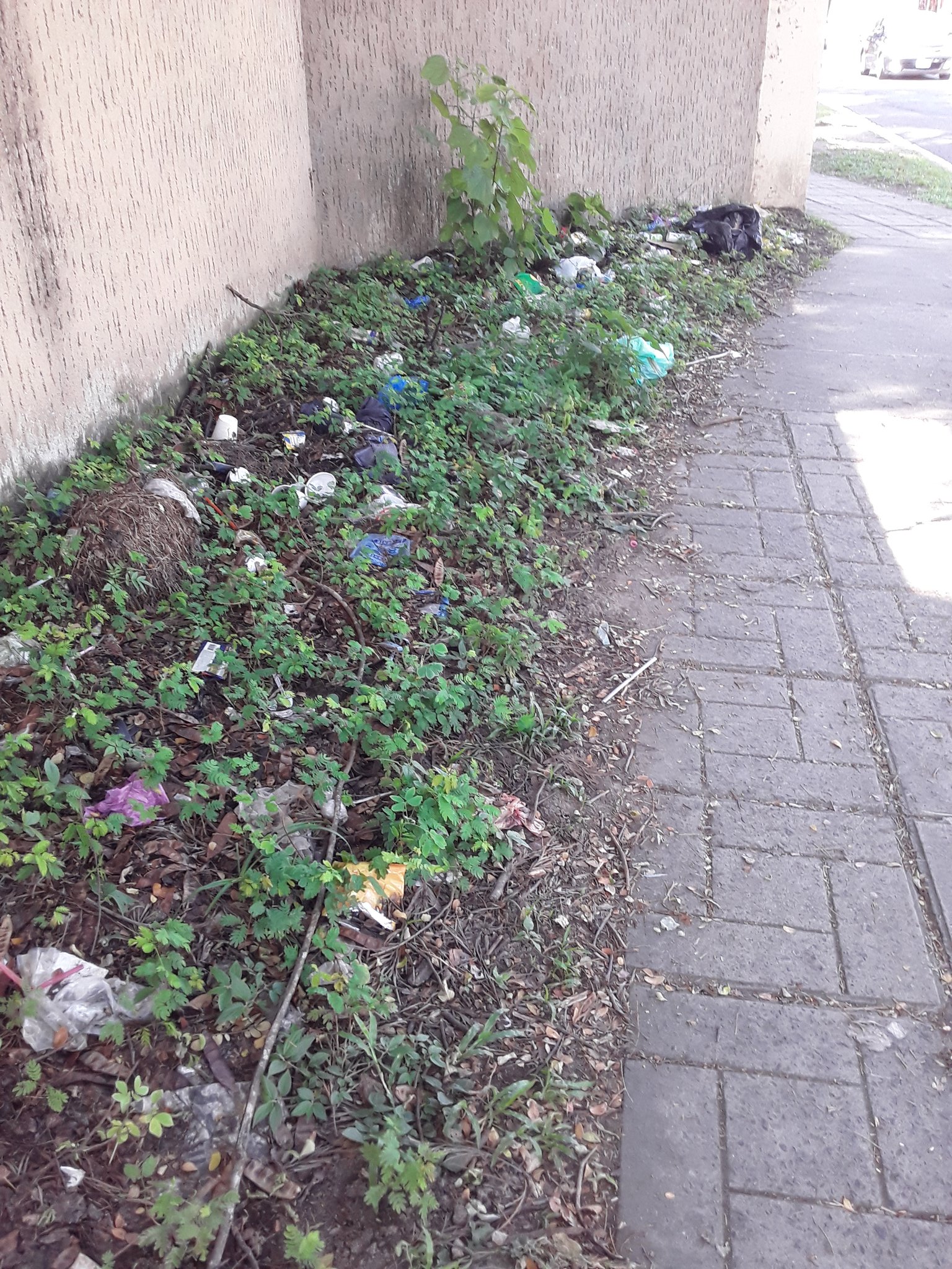 Hazel Renderos (@renderos_hazel) / Twitter