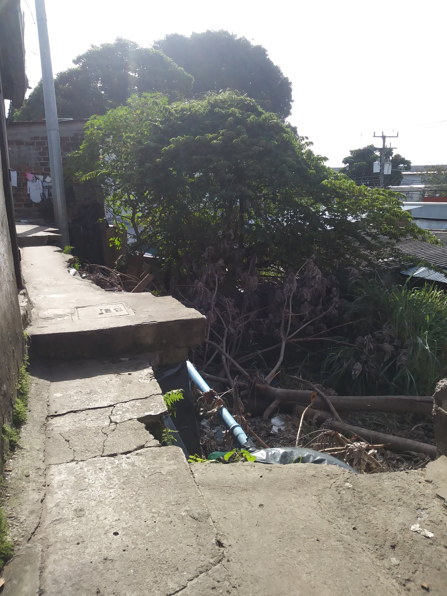 Hazel Renderos (@renderos_hazel) / Twitter