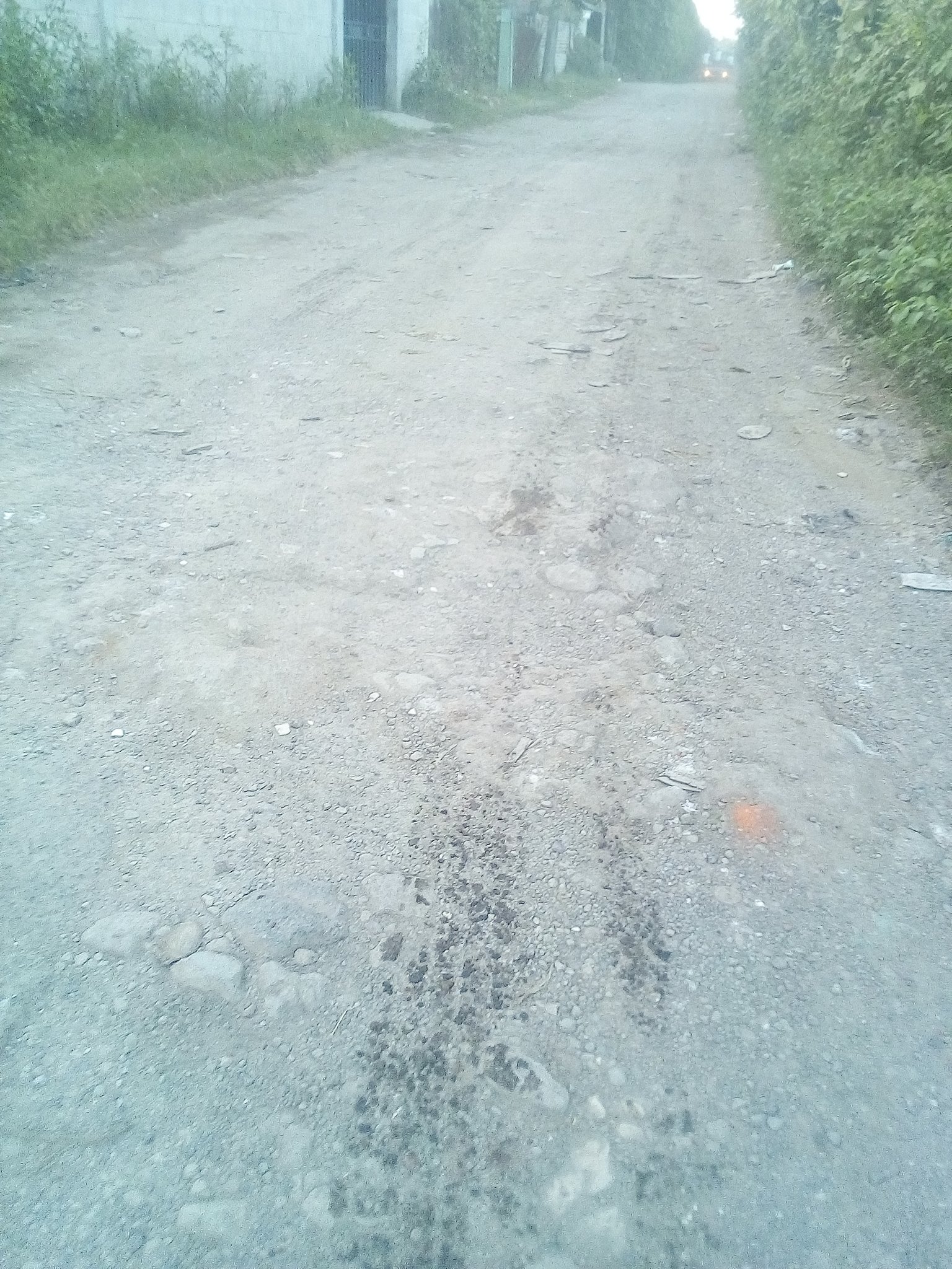 Hazel Renderos (@renderos_hazel) / Twitter