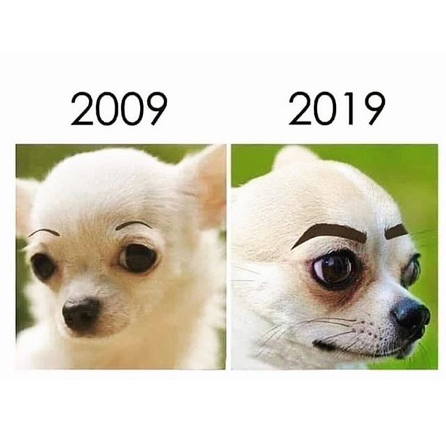 Sperm Eyebrows Memes Father And Son Conversations: Blaming The Sperm