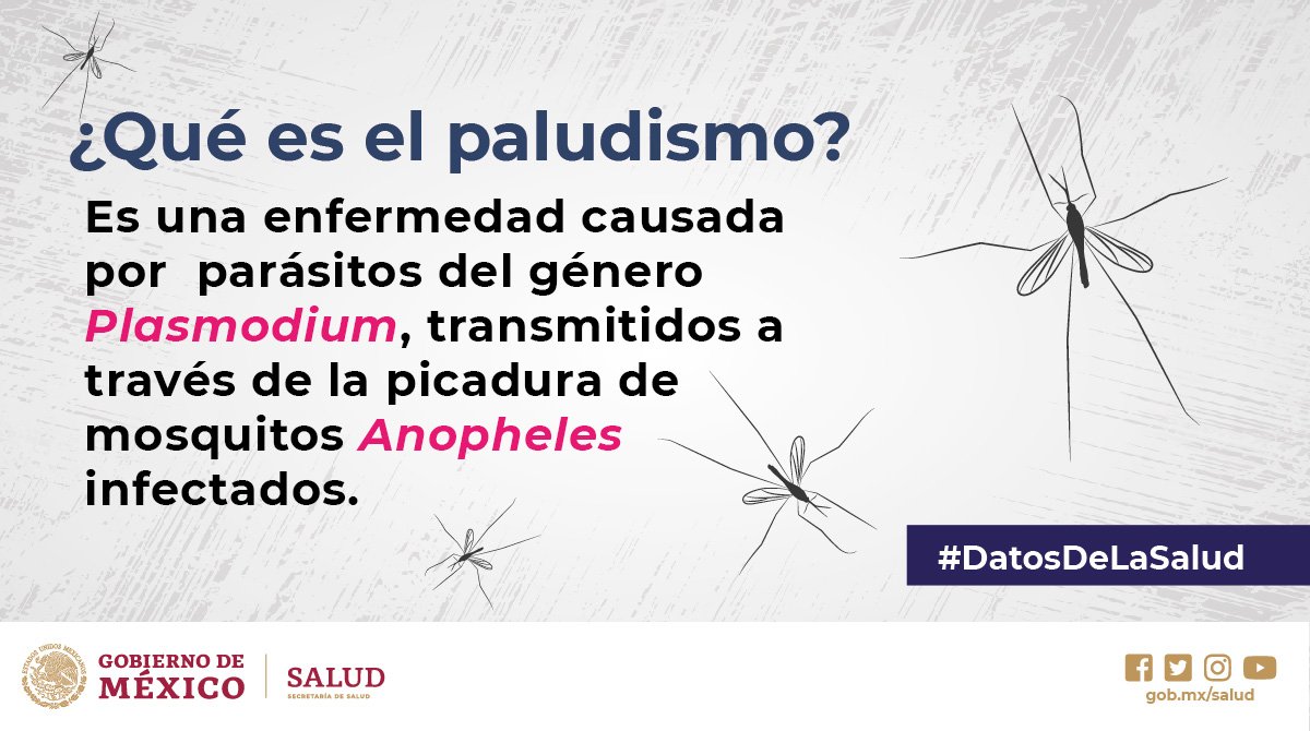 Salud México On Twitter La Historia Del Paludismo Es Fascinante