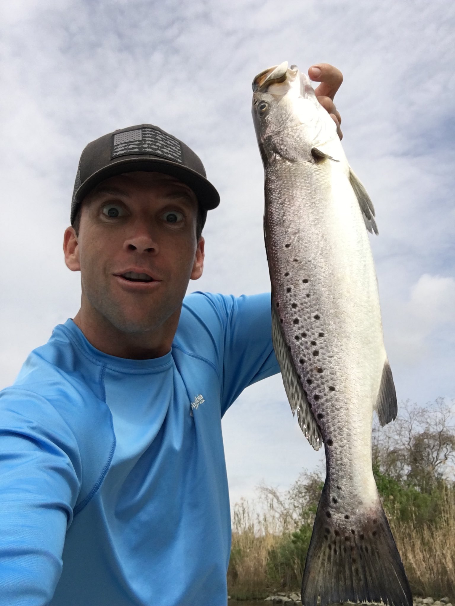 Big Speckled Trout