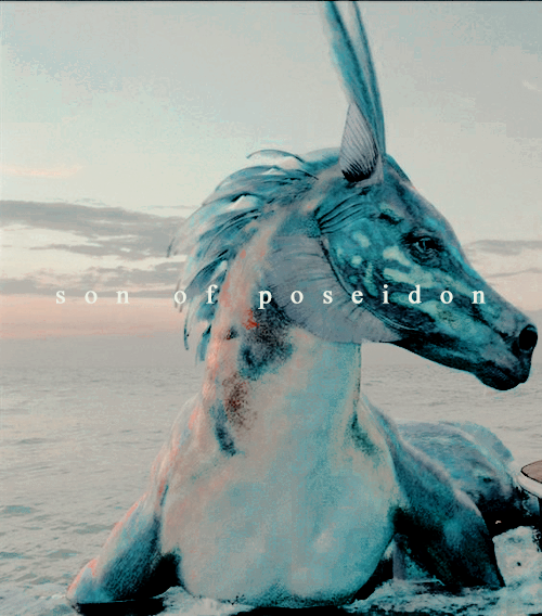 Hippocampus Mythology Percy Jackson