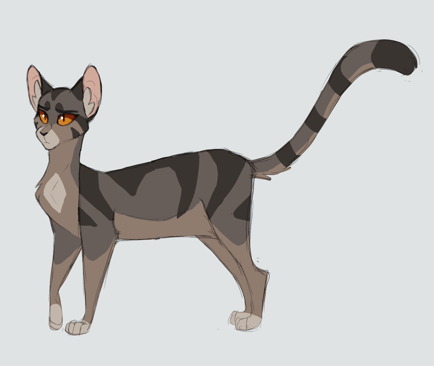 Warrior Cats Dustpaw