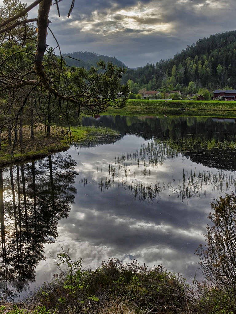 Sofia Valente (@Edelweissbloem) | Twitter