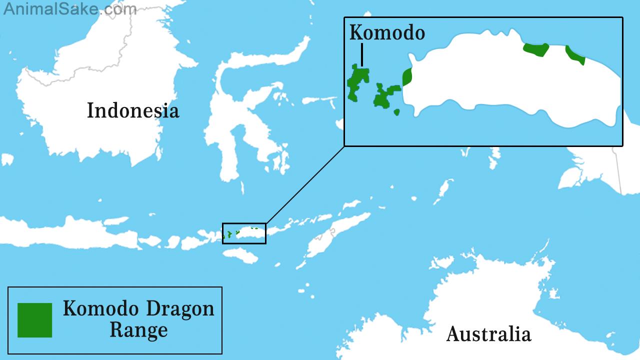 Mapa Del Dragón De Komodo