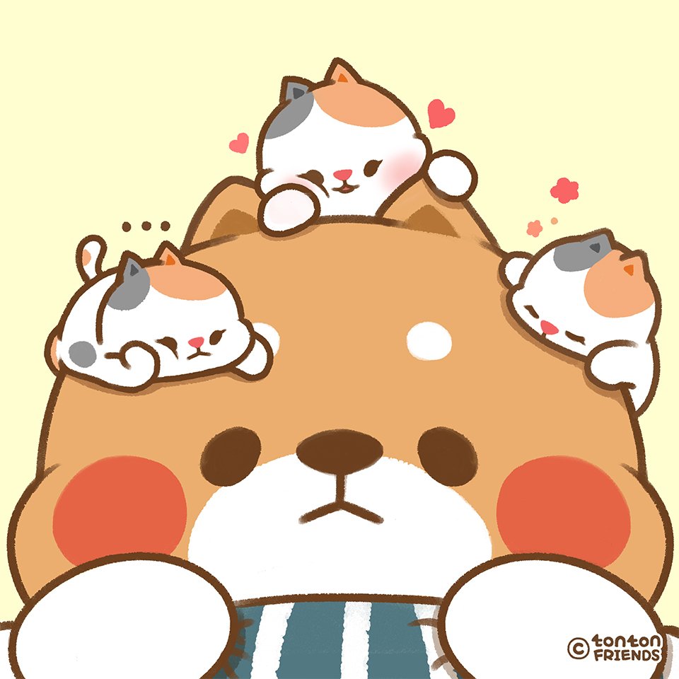 Tonton Friends • 톤톤프렌즈 @tontonfriends Timeline, The Visualized Twitter ...