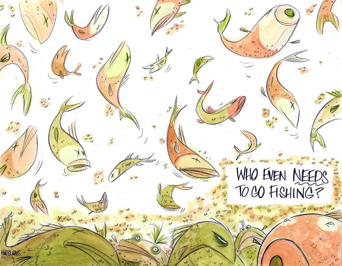 Wednesday TOONs - Fishing Expedition? It's RAINING Fish! - Democratic ...