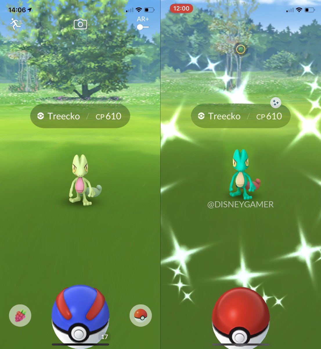 Shiny Treecko