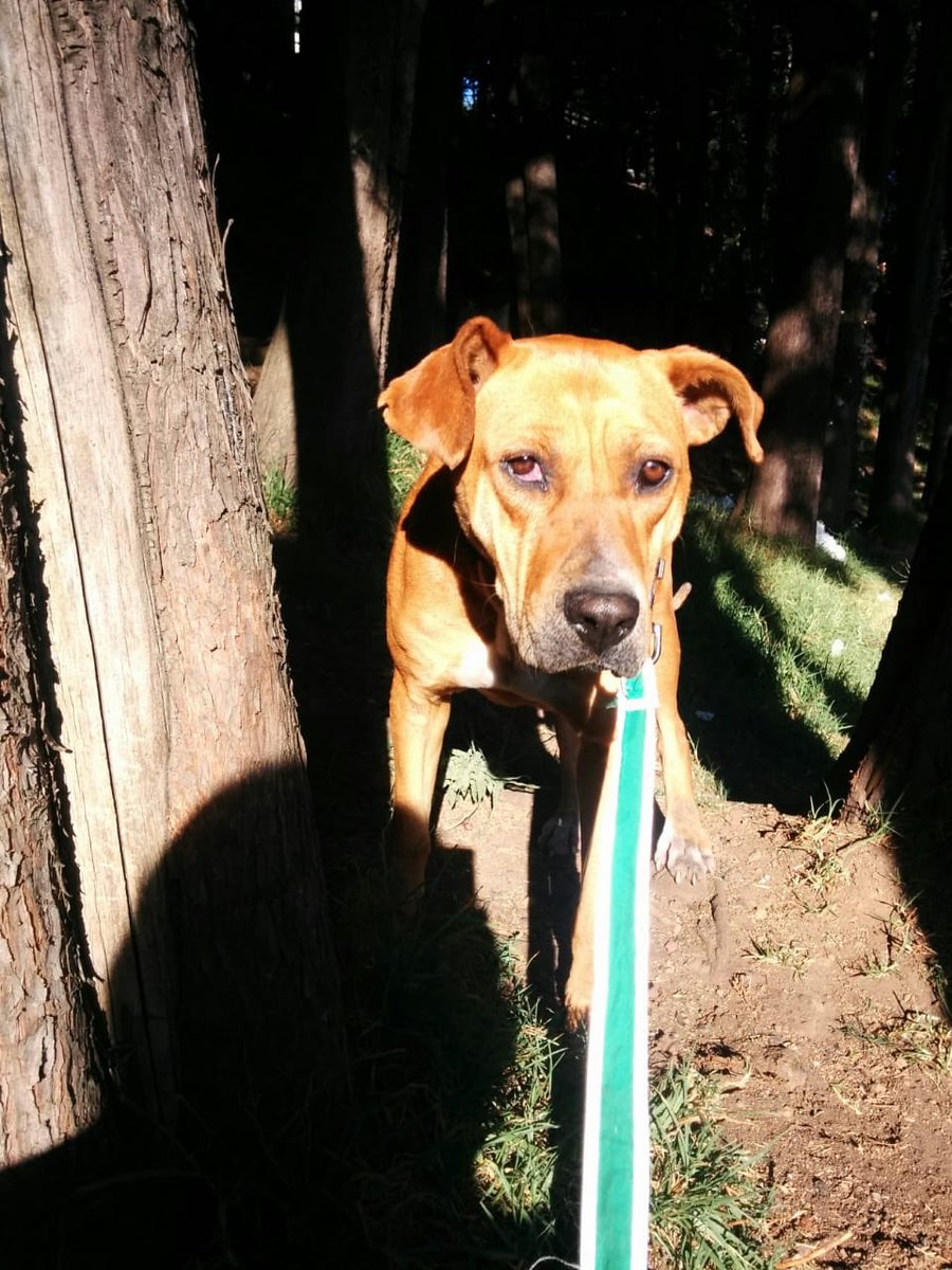 32 best Twitter @tapiafernanda images on Pholder | Quien le entra?