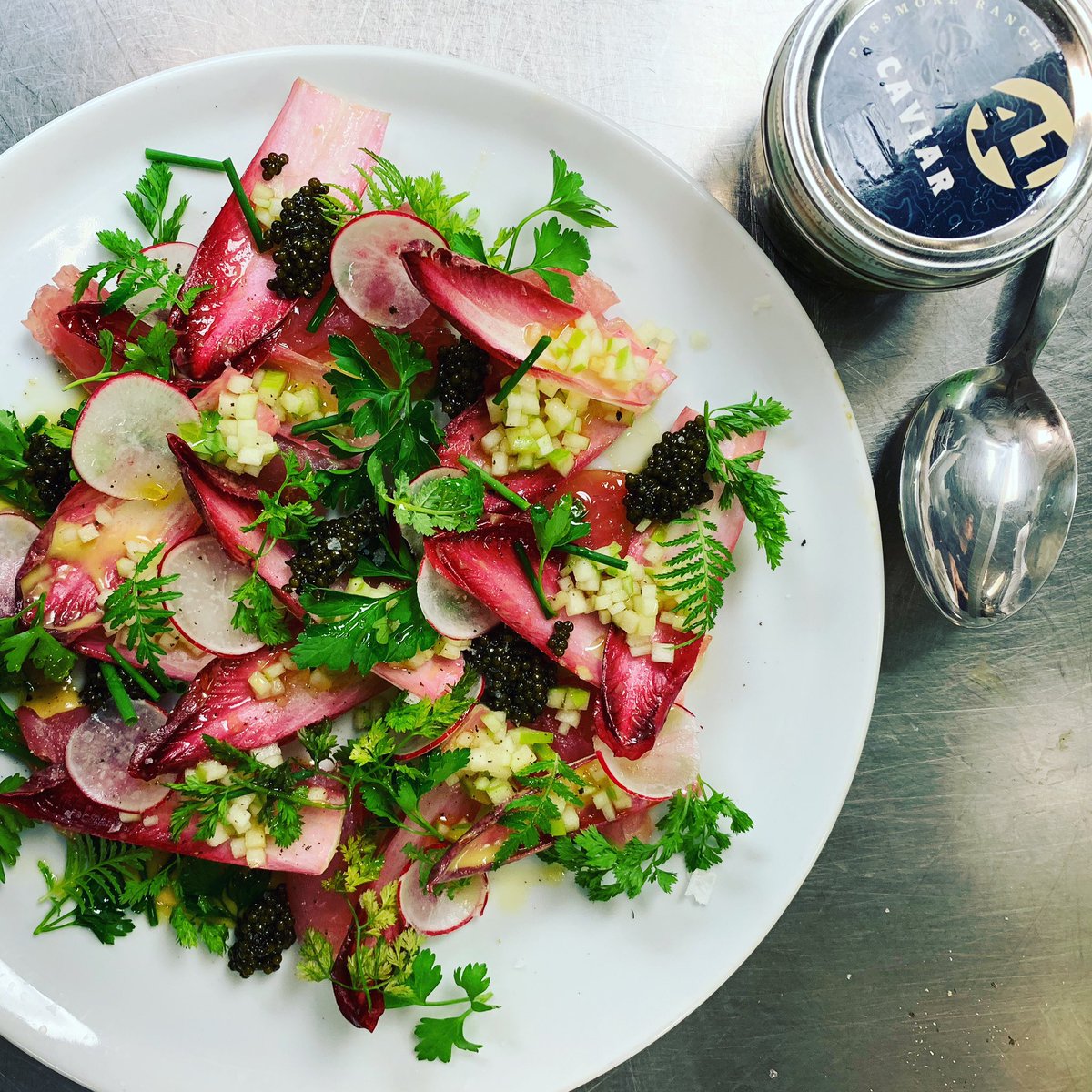 First course tonight... Florida Albacore Crudo, Endive, Apple, M_F ...