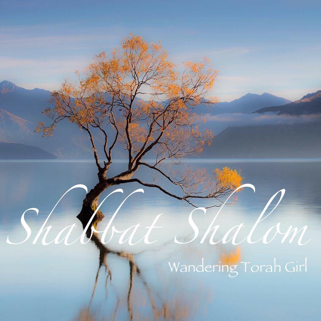 Shabbat Shalom Peace