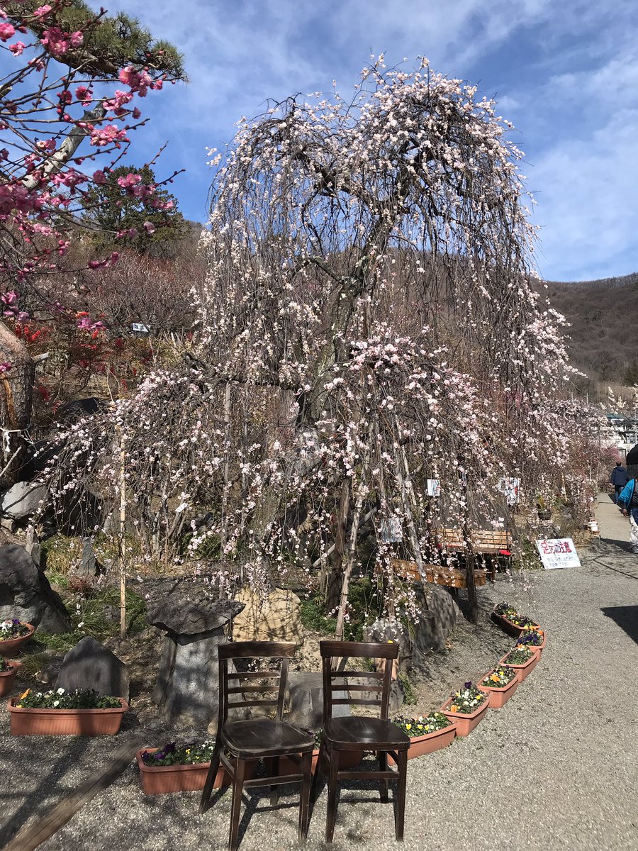 Nori_Shimizu (@Nori_Street_BOB) | Twitter