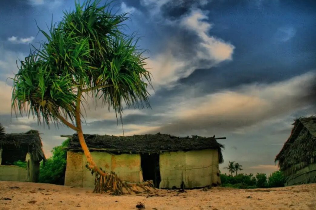 ثنائيو اللغة في الثقافة الصومالية وثنائيّها شريحة سكانية لها حضورها في ...