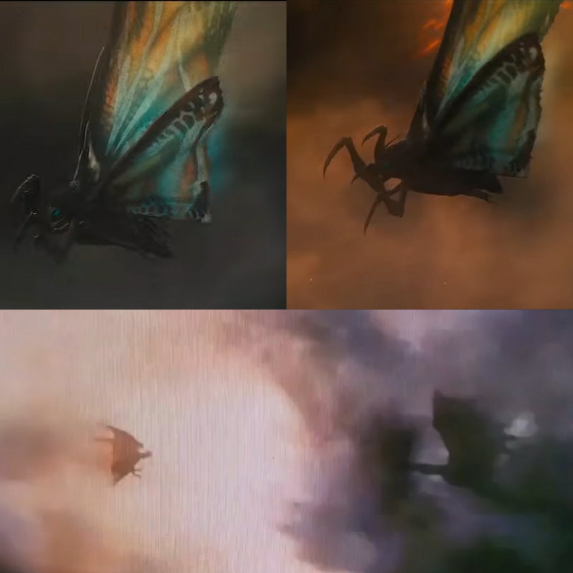 Mothra (Monsterverse) Wikizilla, The Kaiju Encyclopedia, 58% OFF