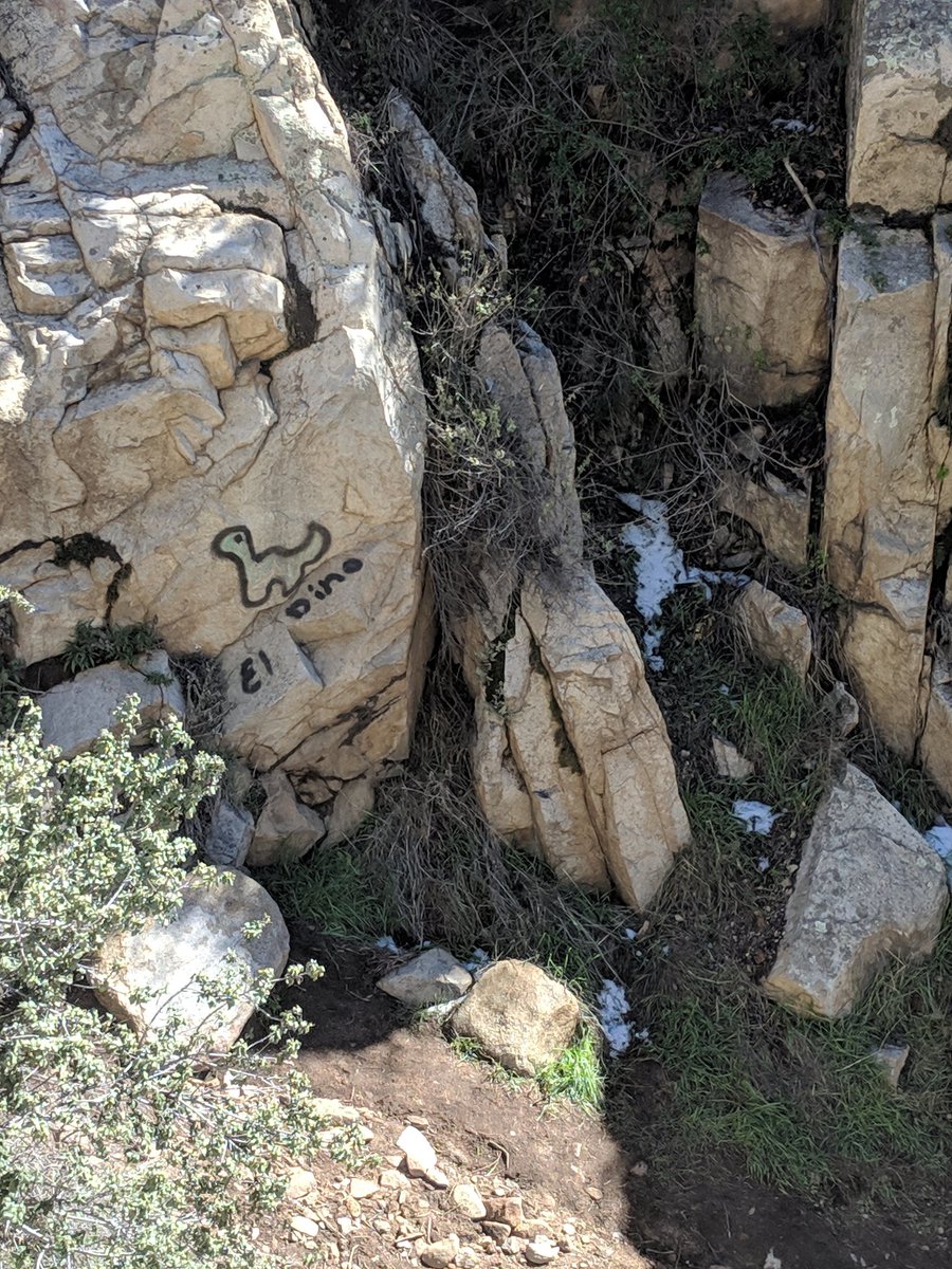 audiodyne on Twitter: "Ancient cave paintings from the dawn of history? #ortegafalls…