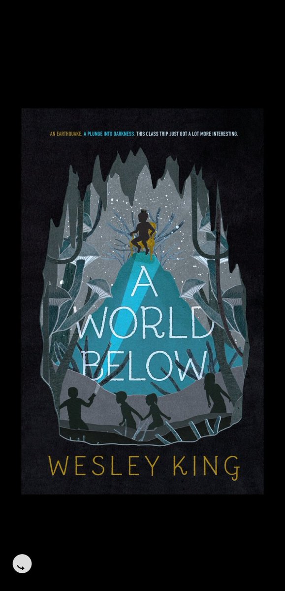 Winona Library (@Wildcat_Reading) | Twitter