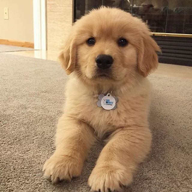 Ms.Pangit (@PangitMs) | Twitter