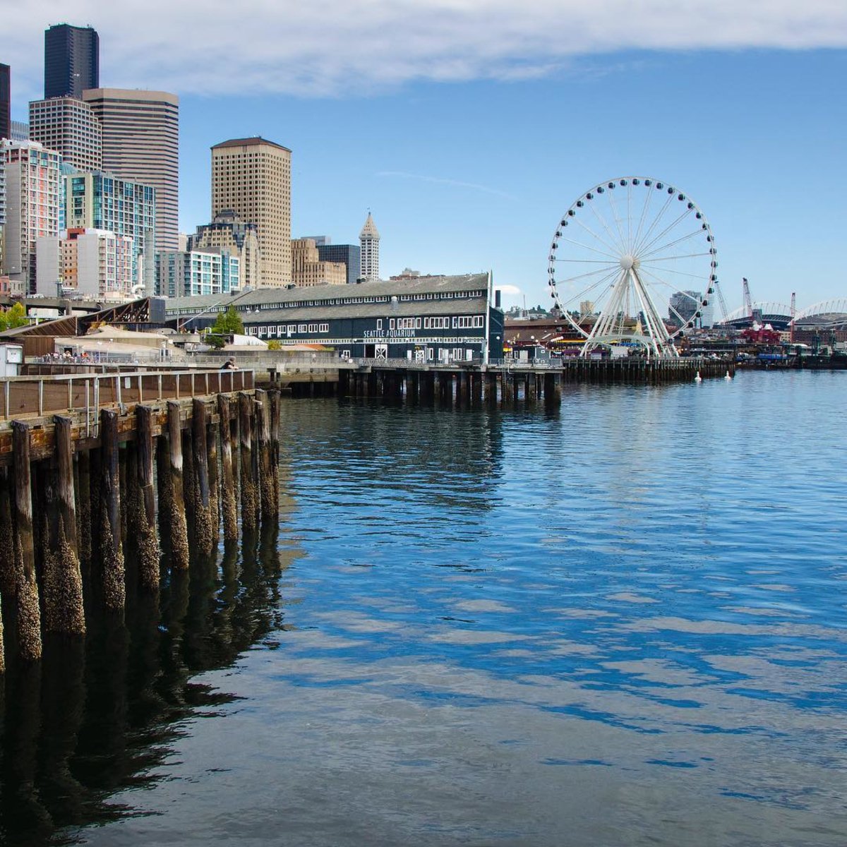 Seattle Museum Month