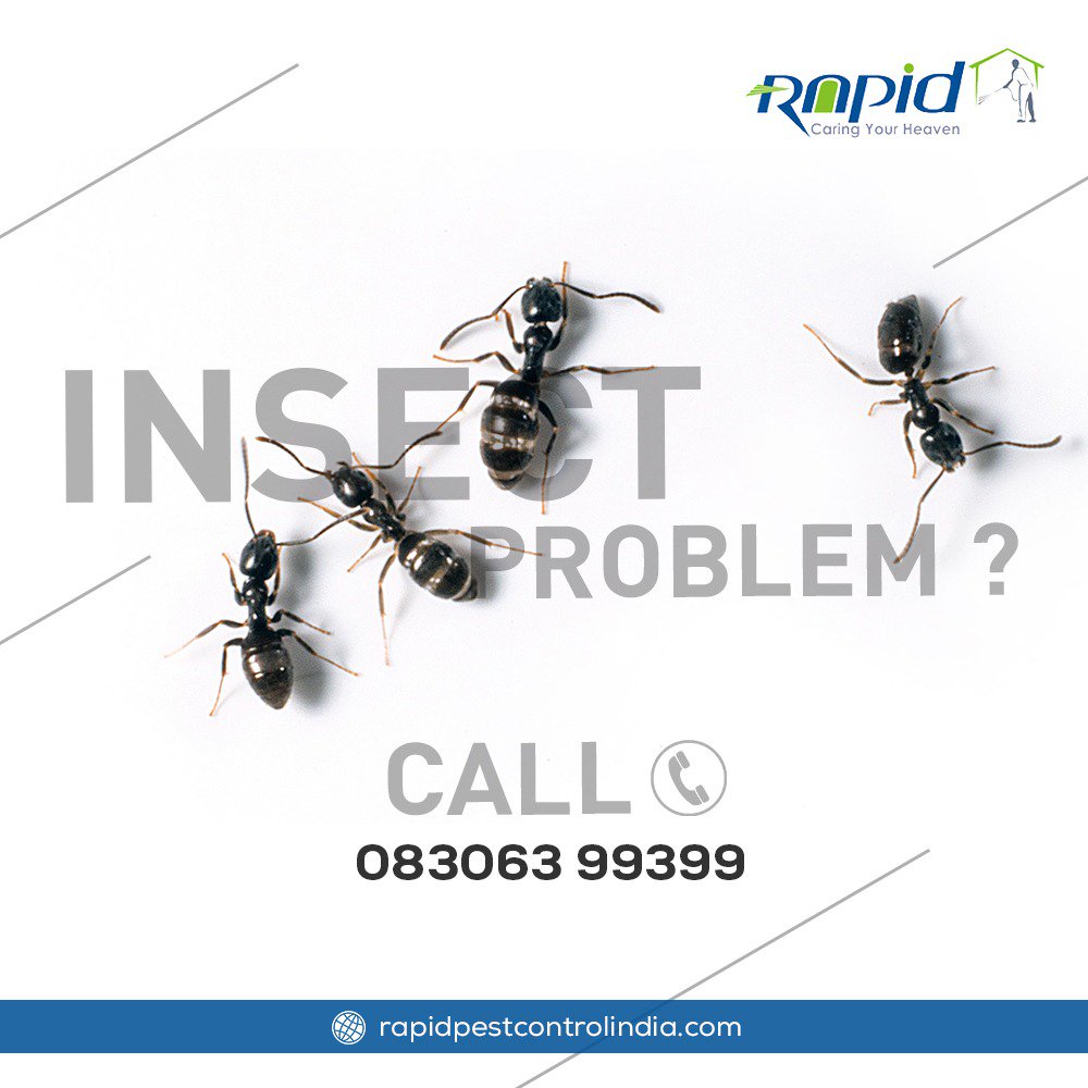 Rapid Pest Control Ind (@rapidpestindia) | Twitter