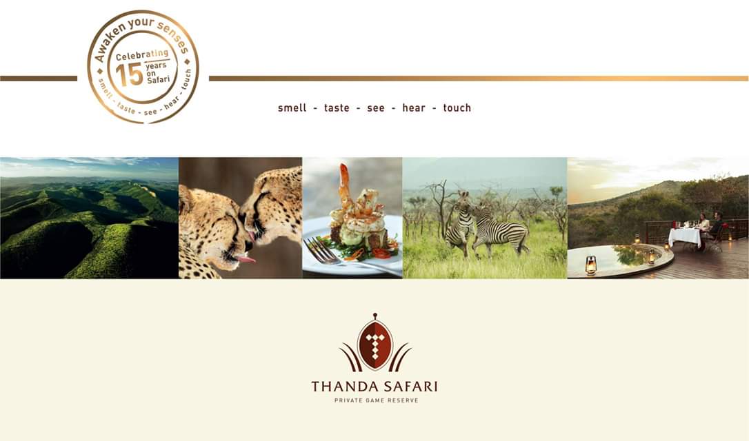 Thanda Logo Jobs At Thanda Human Capital | Pnet.co.za
