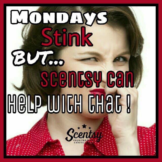 Scentsy Memes