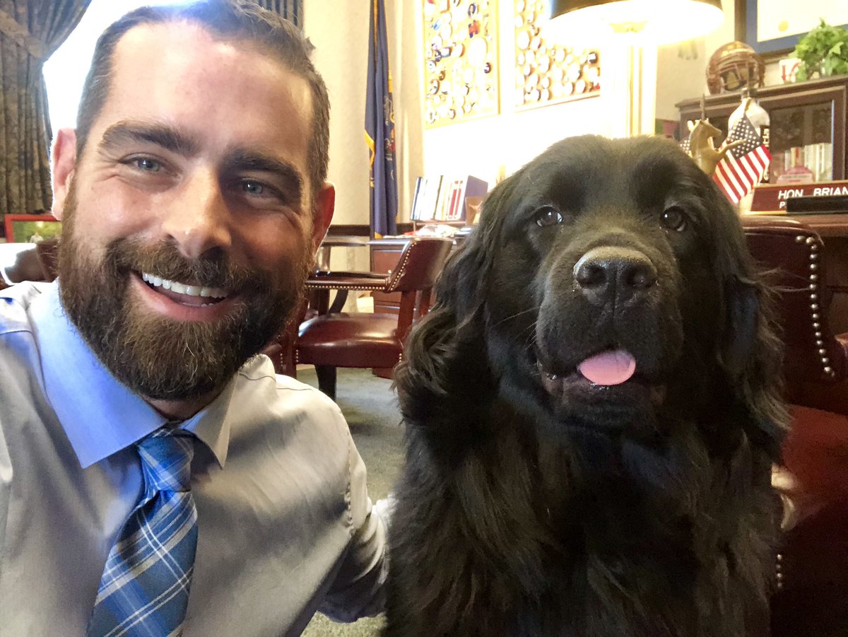 24 best Twitter u/briansimspa images on Pholder | Bear Attack! In my ...