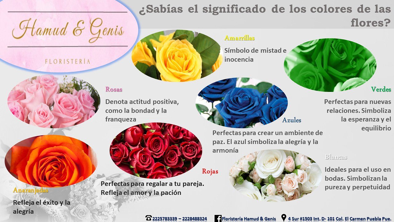 Significado De Los Colores Y Sus Flores