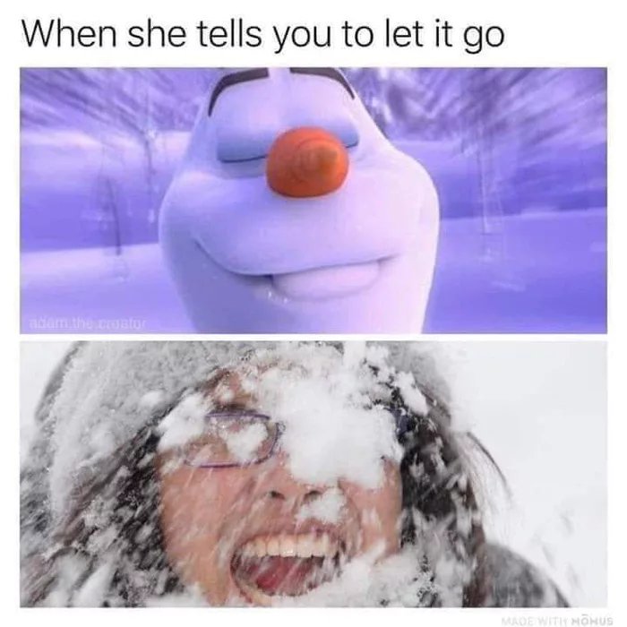 Let It Go Meme