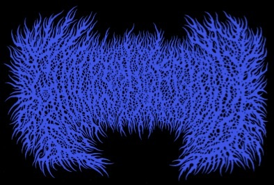 Unreadable Band Logo