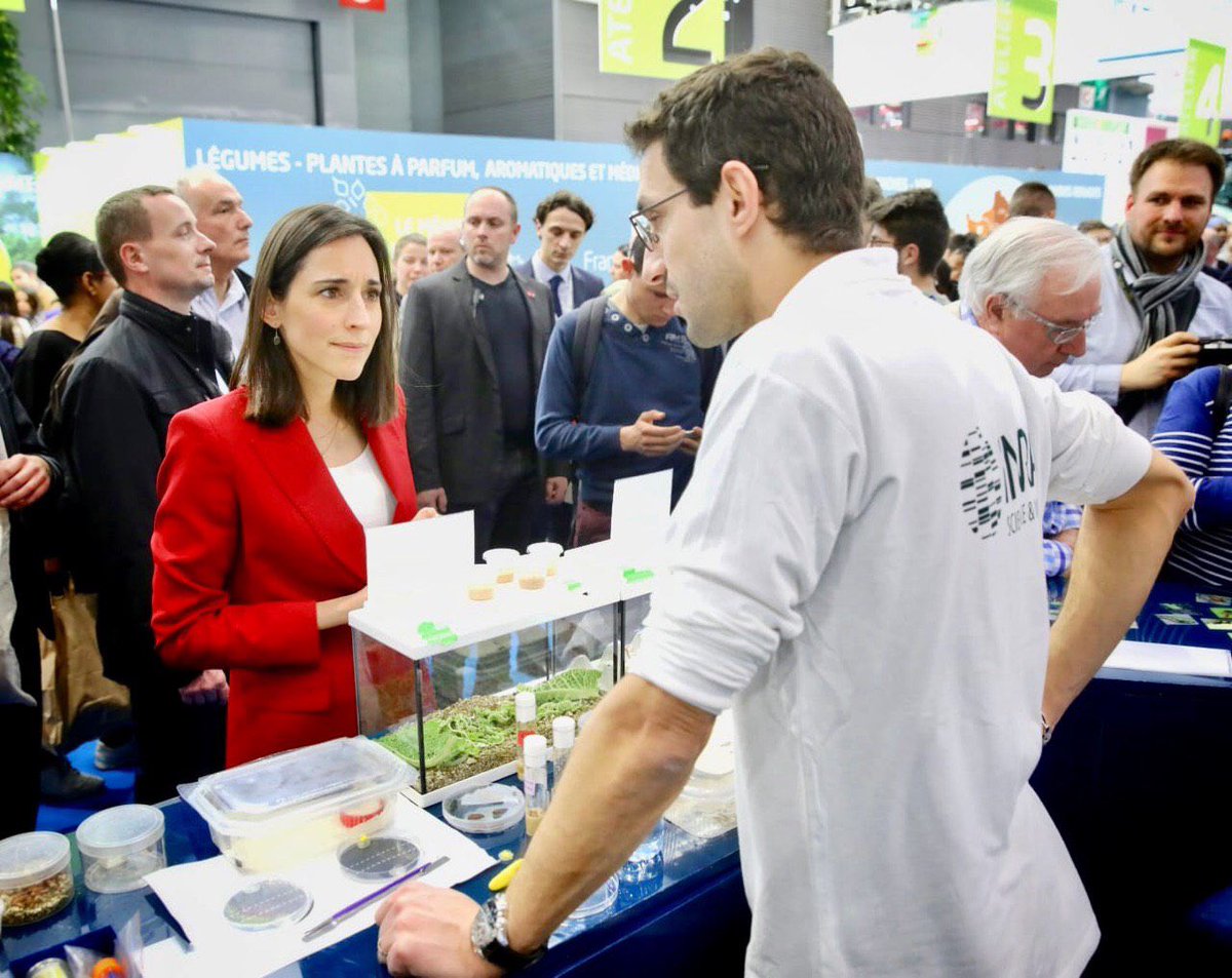 Emma Joly (@EmmaJoly8) | Twitter