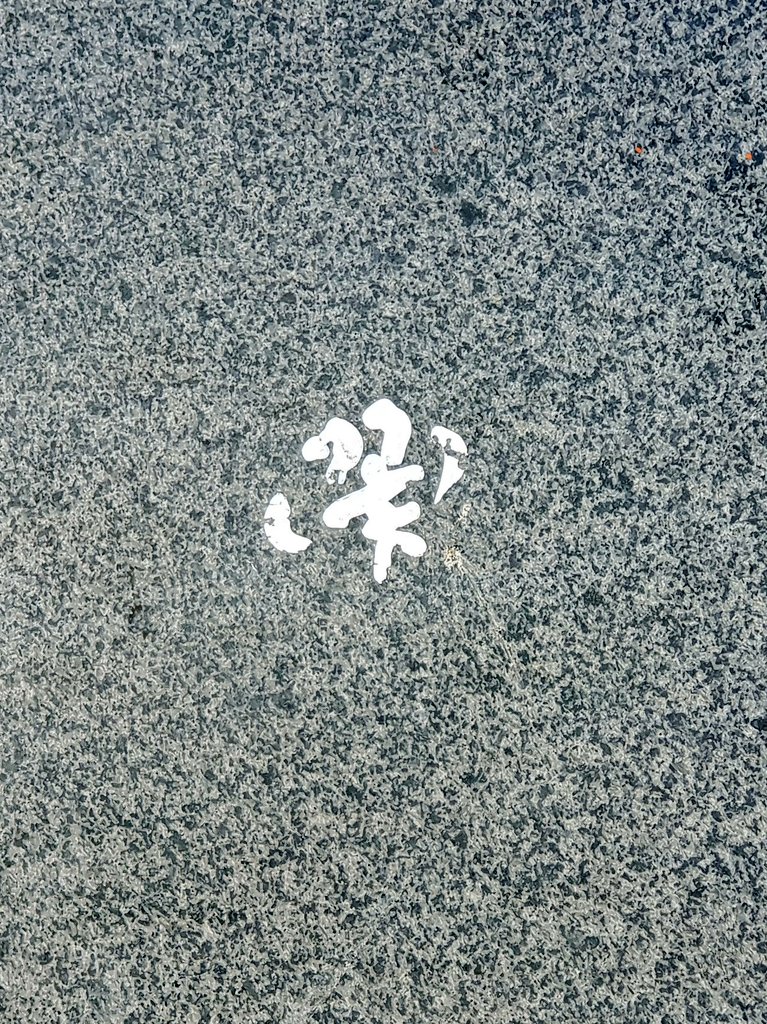 Tom Berthold (@tae_woom) | Twitter