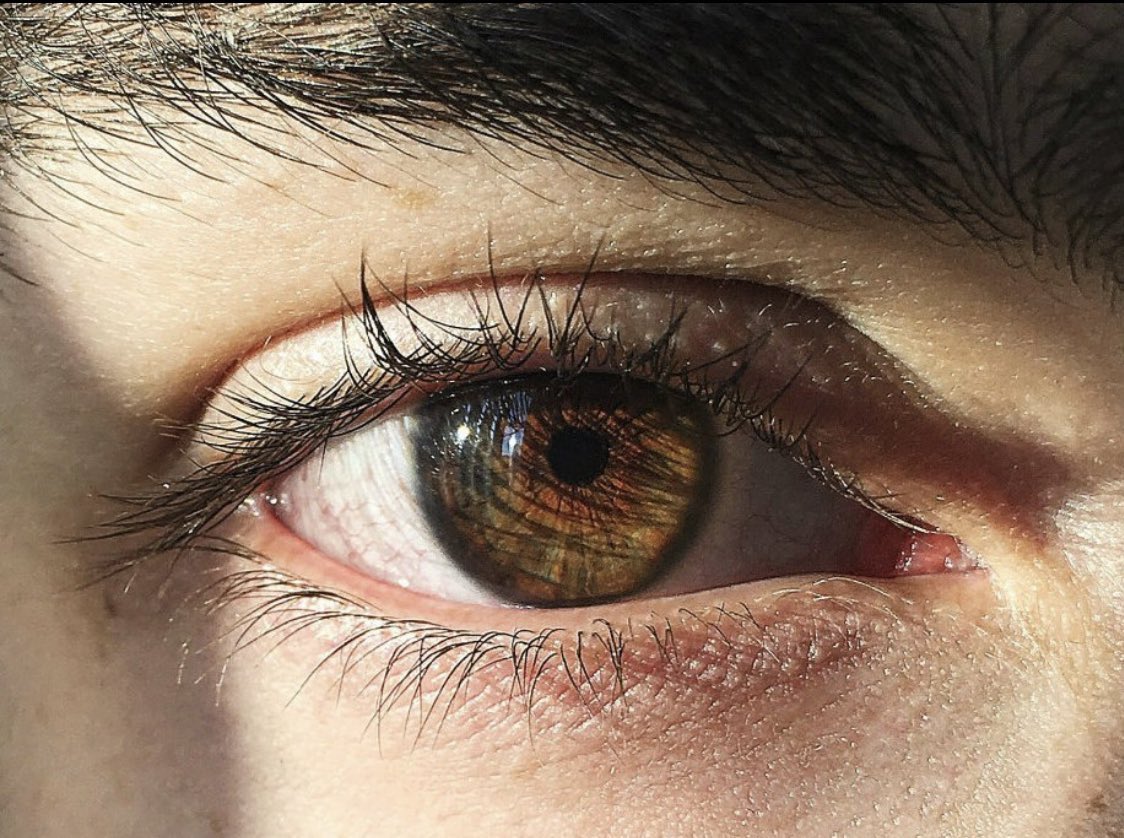 Brown Eyes In Sunlight