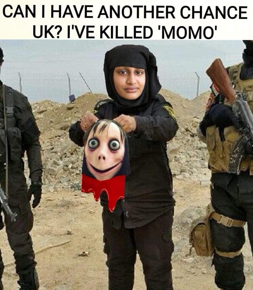 Begum Memes