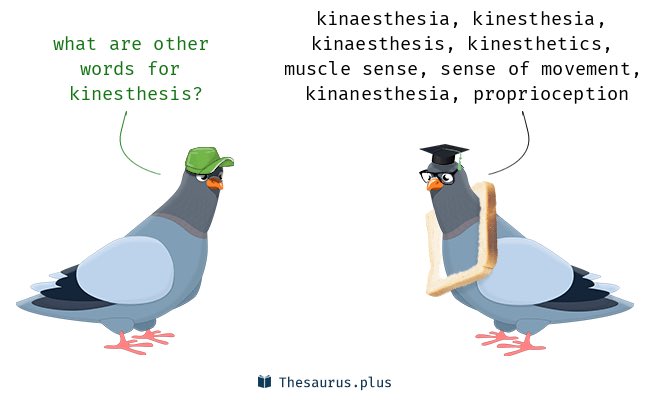 Kinesthesis Sense